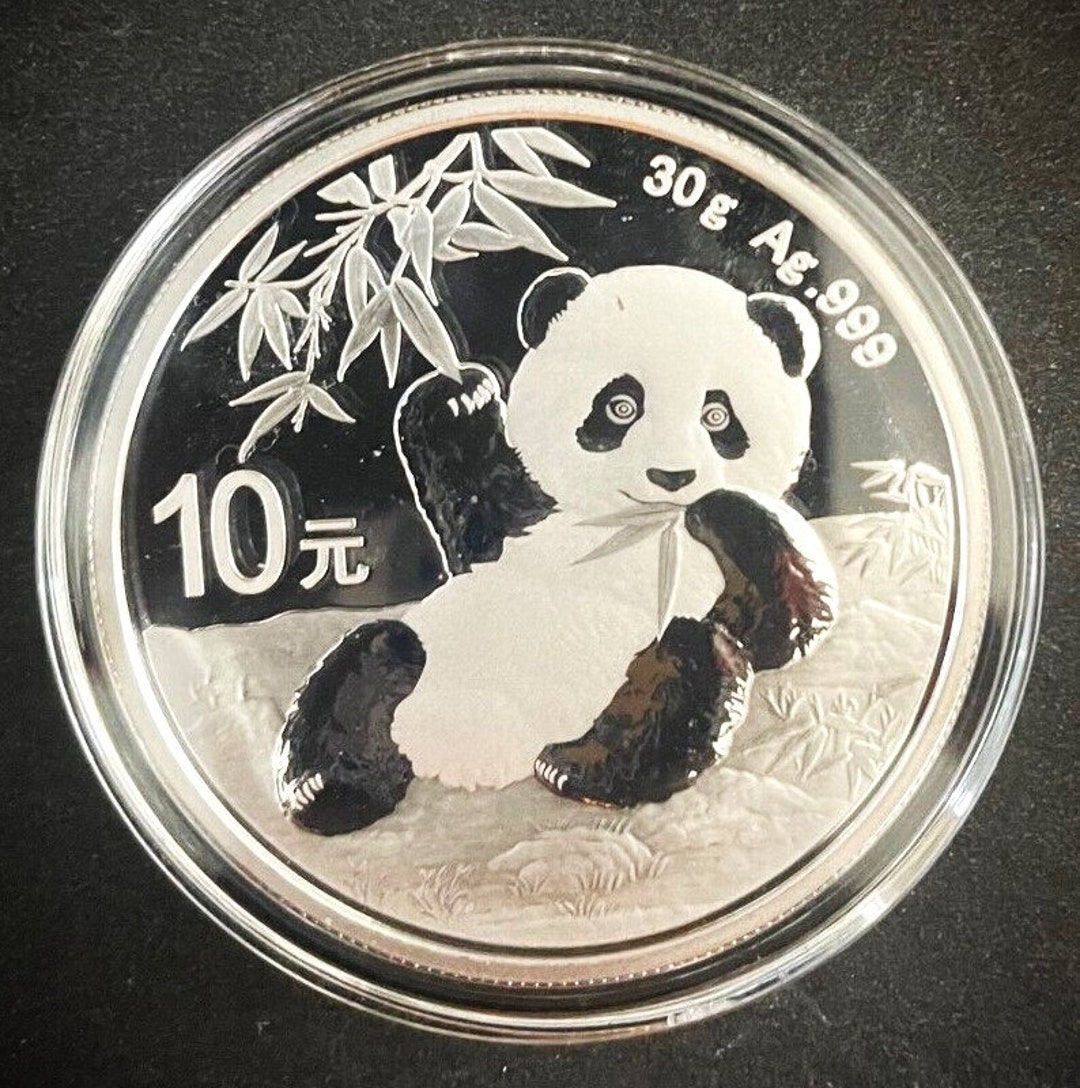2020 China Silver Panda Coin 30 Gram 10 Yuan .999 Fine - Etsy