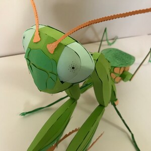 3D Praying Mantis Paper Craft: DIY Low Poly Model (SVG, PDF Files) - Etsy