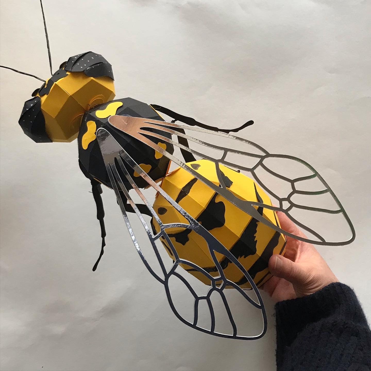 Papercraft Beetle Side View