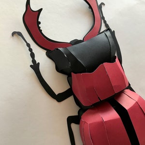 Paper Beetles 02 PRE-CUT Version, Papercraft Activity Kit, DIY Wall ...