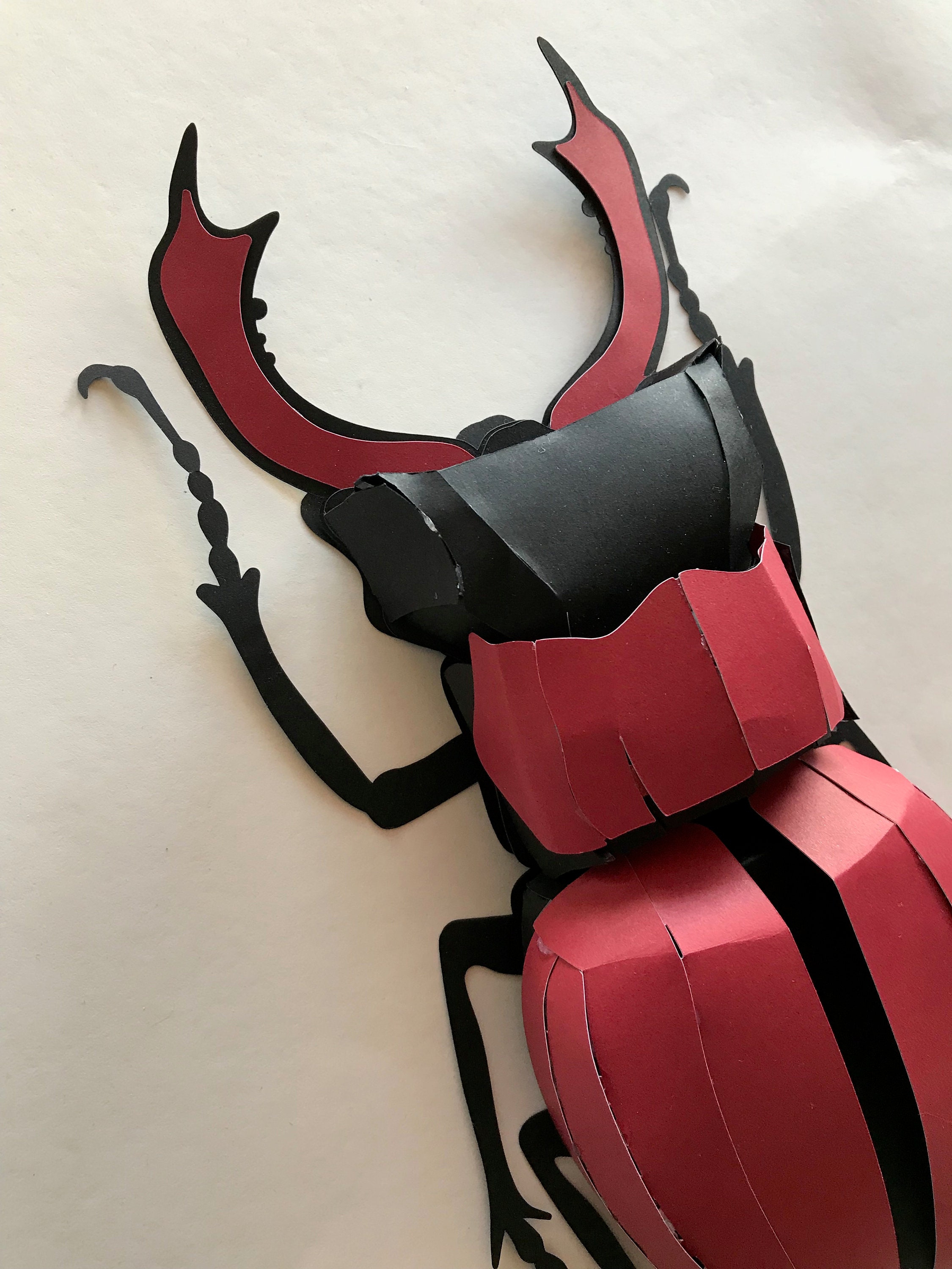 Paper Beetles 02 PRE-CUT Version, Papercraft Activity Kit, DIY Wall ...
