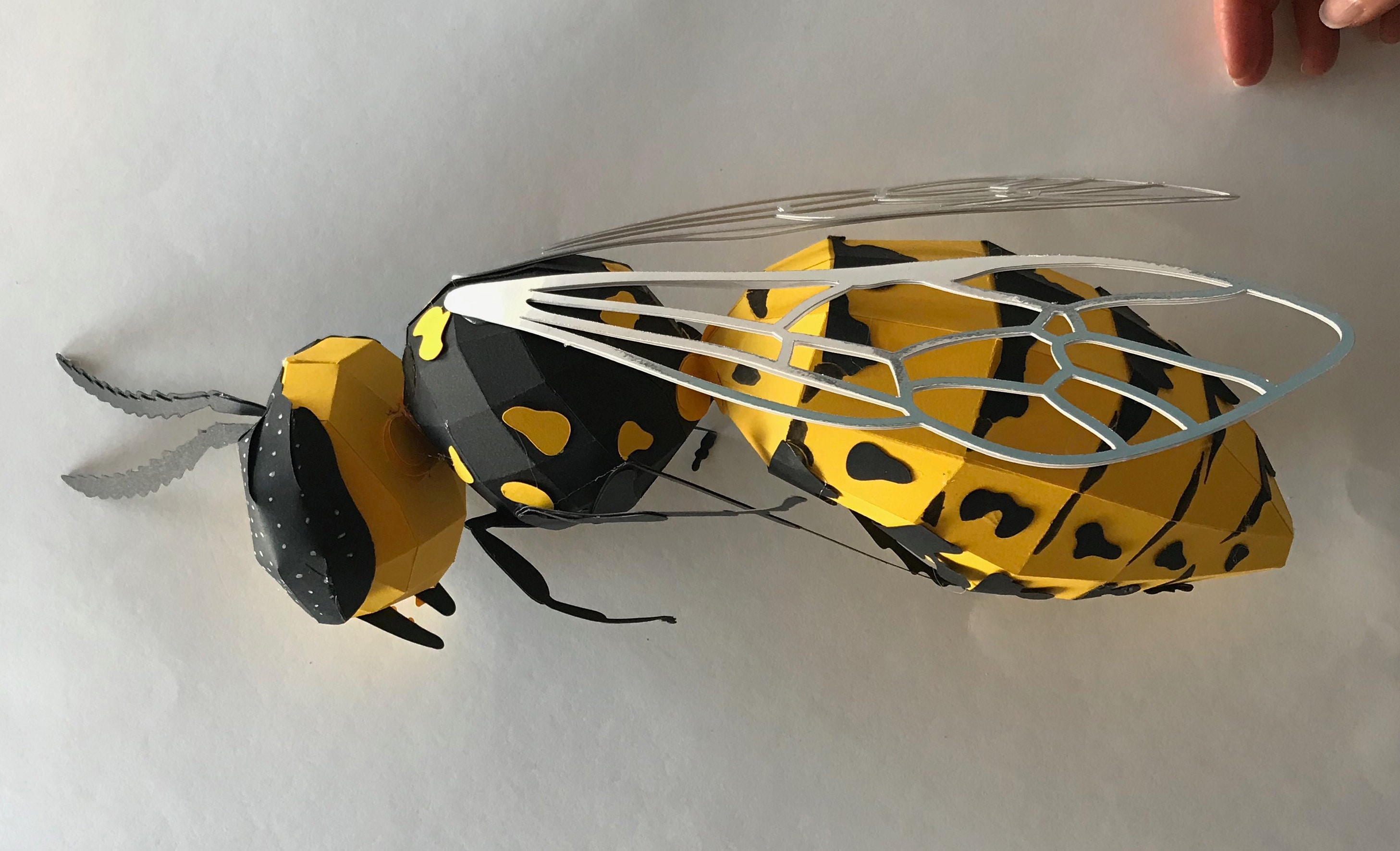 Wasp 3D Papercraft: Low Poly Model (SVG, PDF Files) - Etsy