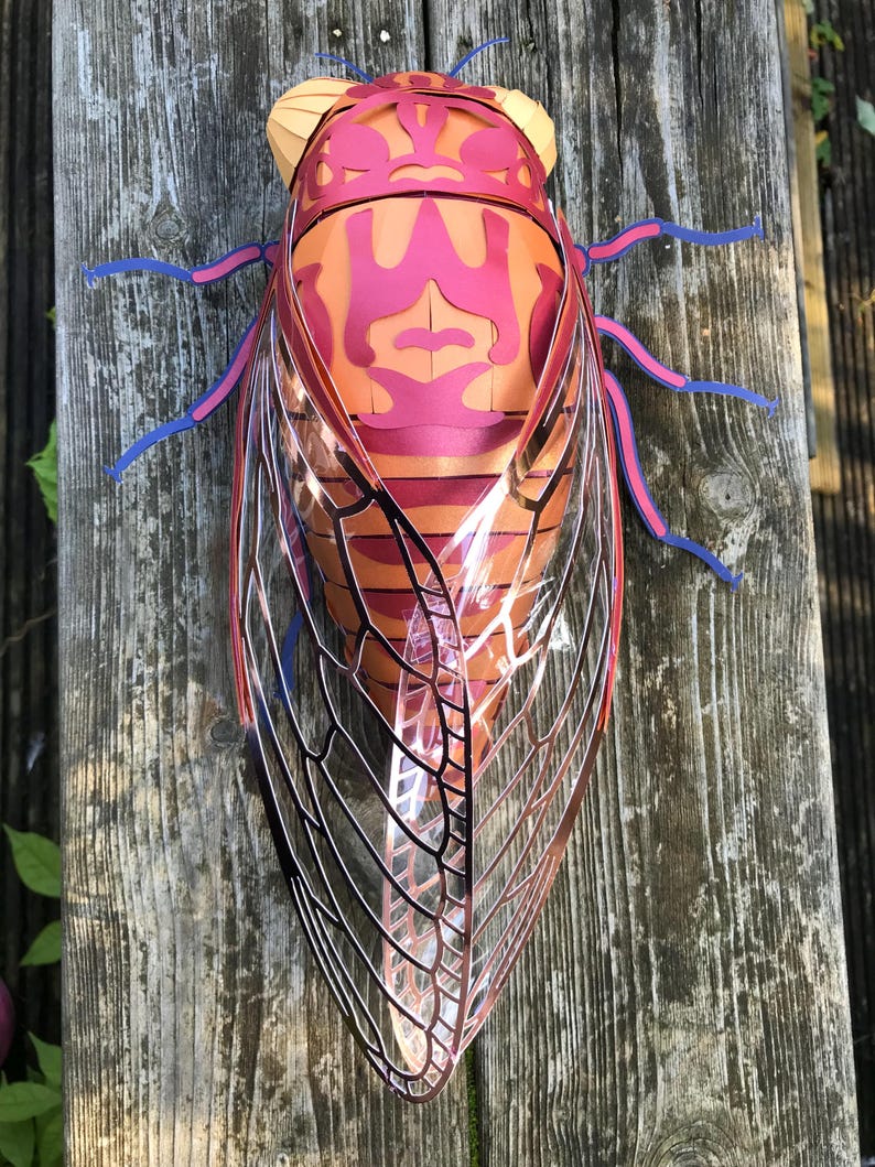 Cicada 3D Paper Craft, SVG Files for Cricut, Vector Templates - Etsy UK