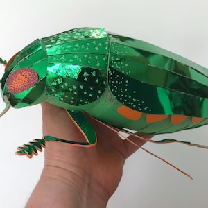 Beetles Series 03, Advanced Papercraft Project, PDF, SVG Files for ...