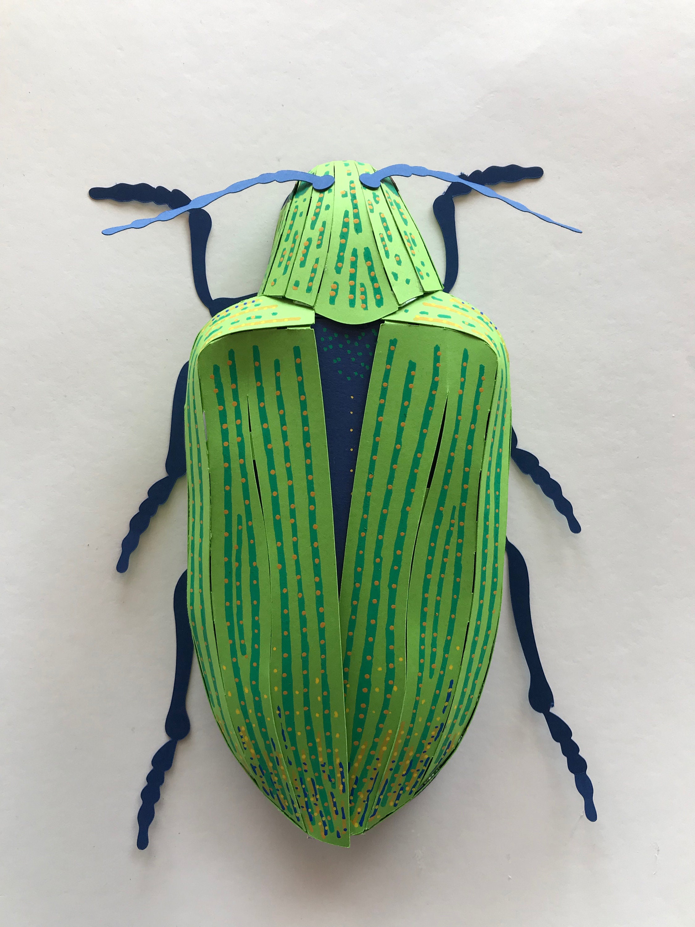 Paper Beetles 02 PRE-CUT Version, Papercraft Activity Kit, DIY Wall ...
