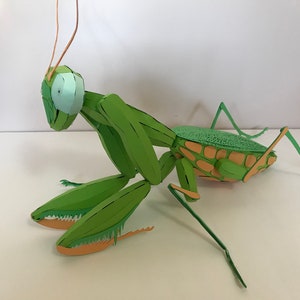 Praying Mantis Papercraft Activity, SVG Files for Cricut, 3D Vector ...