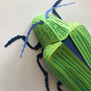 Paper Beetle Wall Decor 02, 3D Paper Craft, Low Poly (SVG, PDF Files ...