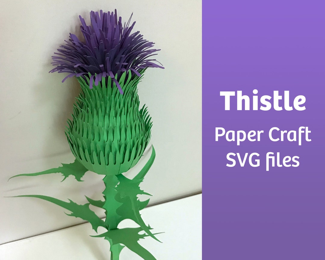 Thistle Paper Craft, SVG Files for Cricut, 3D Paper Object, Vector ...