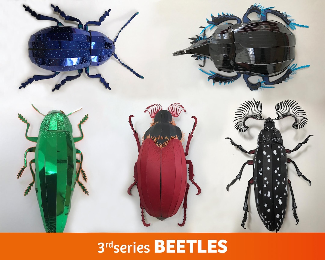 Beetles Series 03, Papercraft Project, PDF, SVG Files for Cricut ...
