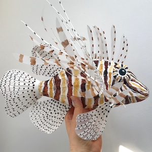 Lionfish 3D Paper Craft, Vector Templates, SVG Files for Cricut - Etsy