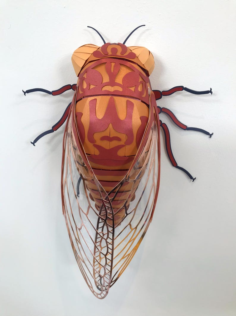 Cicada 3D Paper Craft, SVG Files for Cricut, Vector Templates - Etsy UK