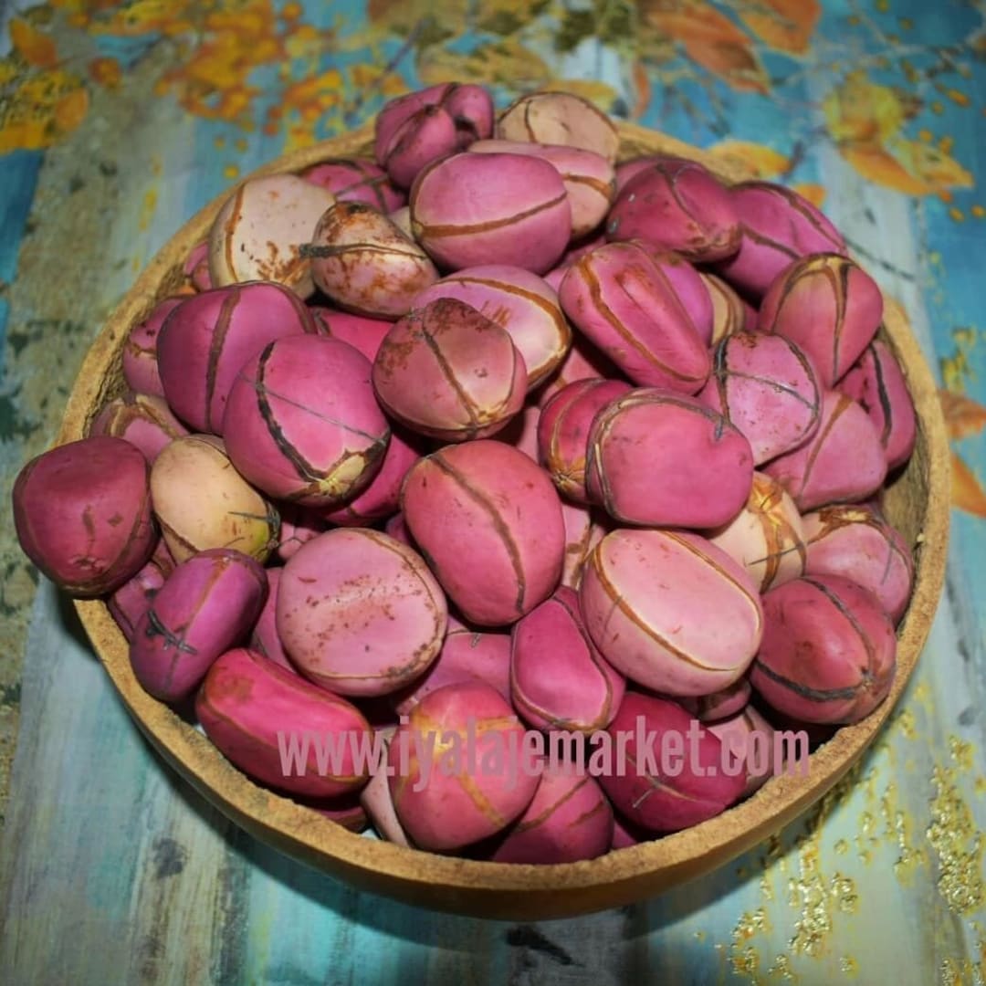 Kola Nut Wholesale - Etsy