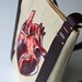 Anatomical Heart Embroidered Backpack Handmade Backpack Free - Etsy