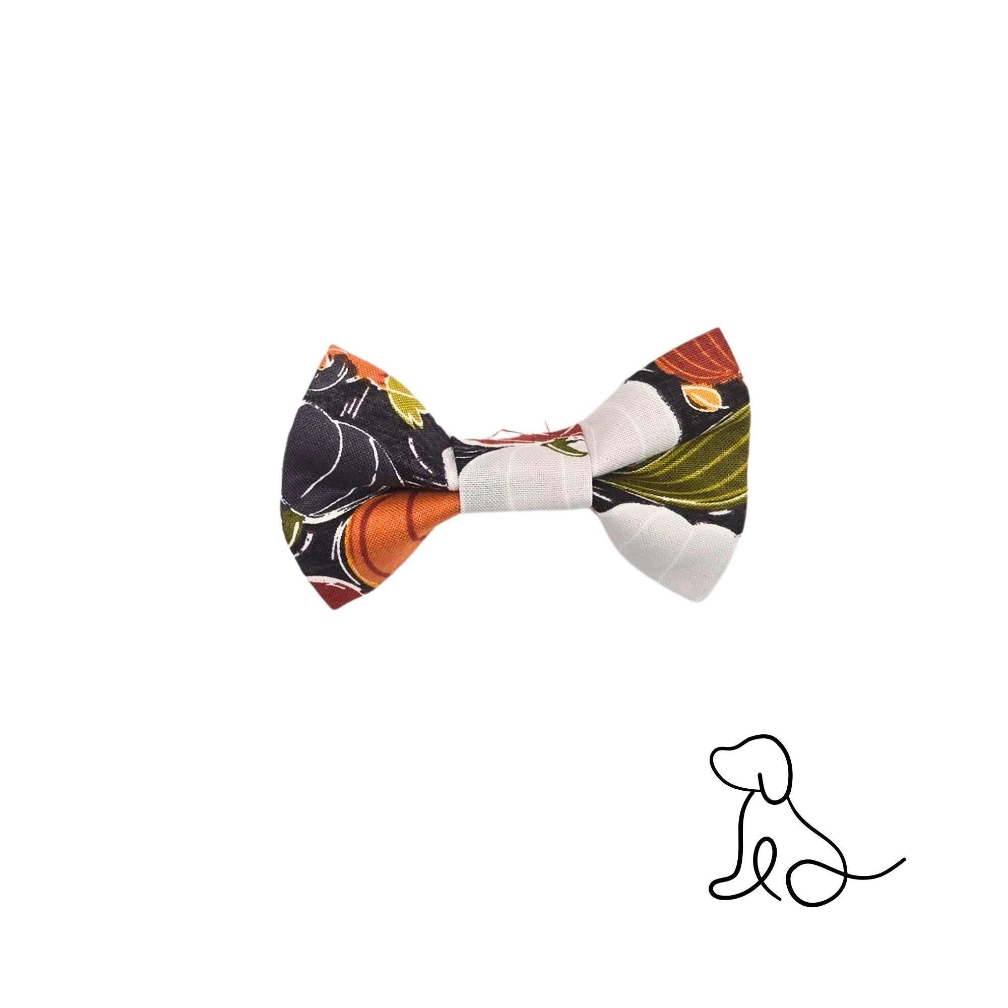 Modern Pumpkins and Gourds Dog Collar Set – Fall Dog Collar With Bow ...