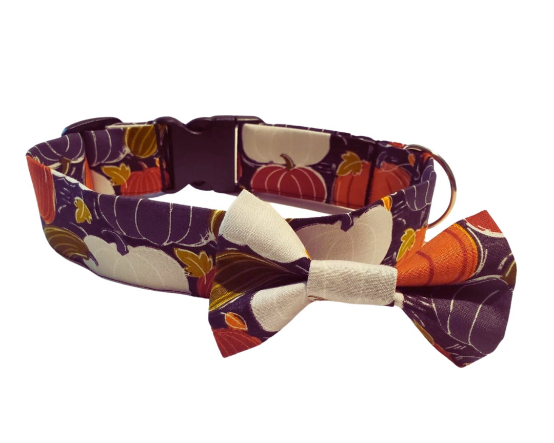 Modern Pumpkins and Gourds Dog Collar Set – Fall Dog Collar With Bow ...