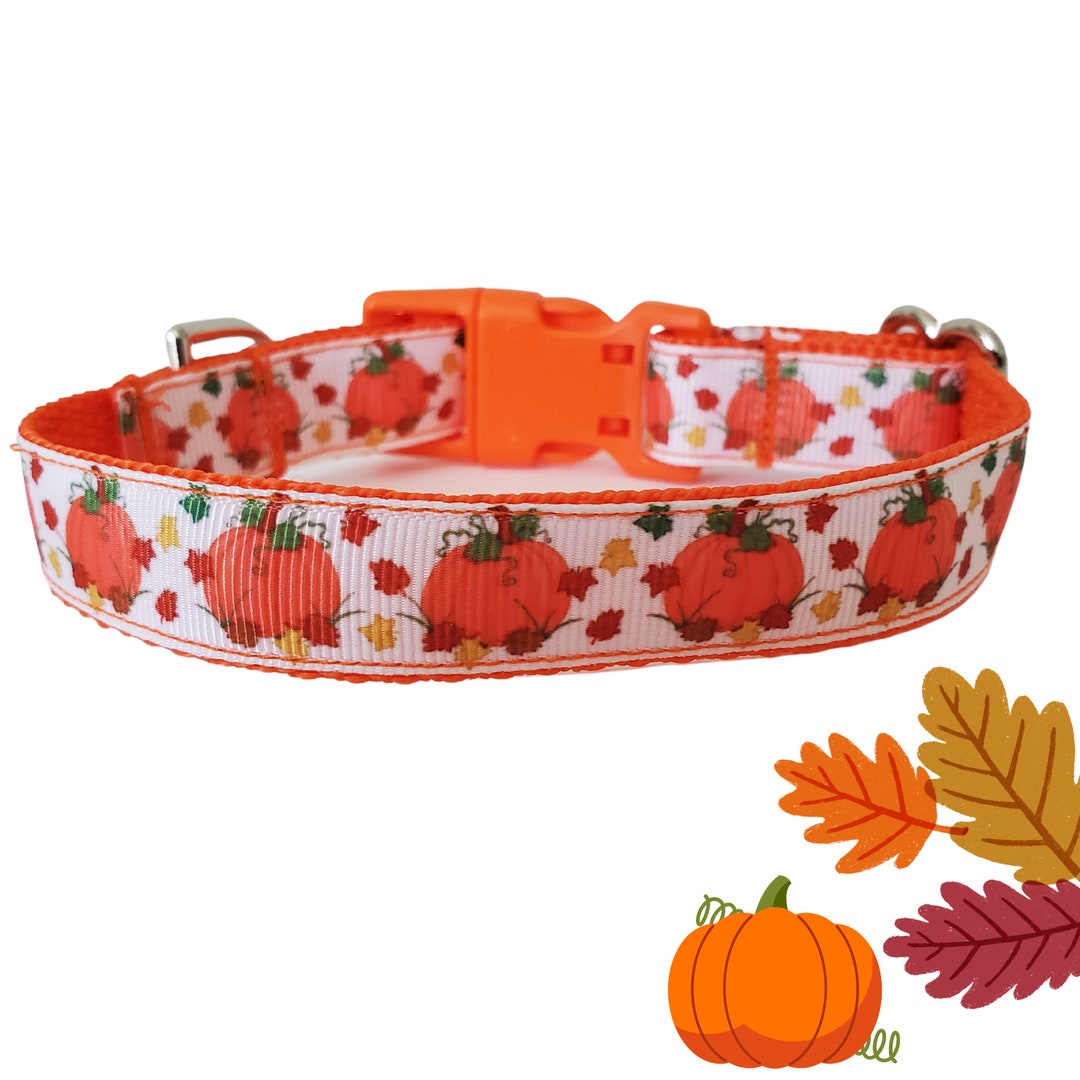 Fall and Halloween Themed Small Dogs Collar Pumpkin Patch Dog Collar - Etsy