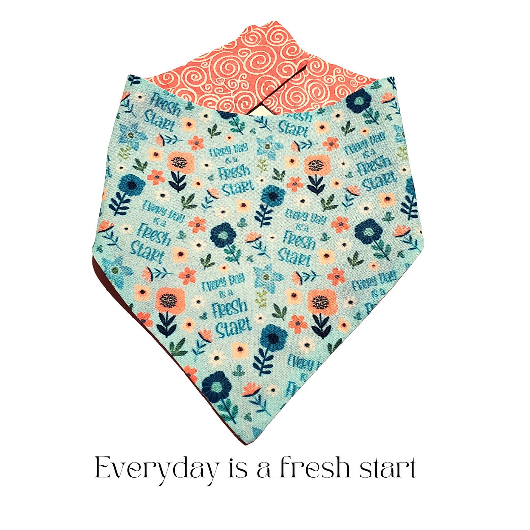 Motivational Reversible Snap on or Slip on Cat or Dog Bandana - You Are ...