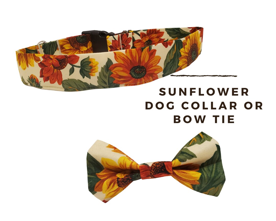 Sunflower Dog Collar and Bow Tie Set Dog Collar - Etsy