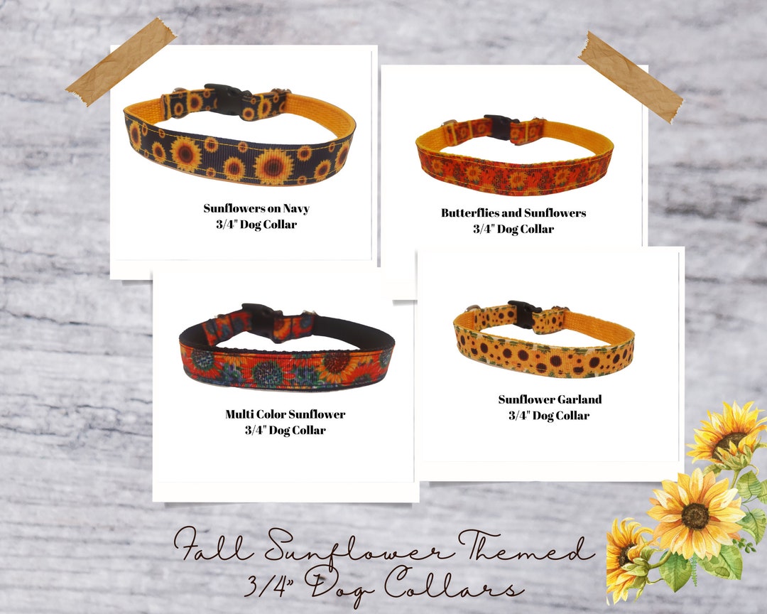 Golden Blooms: Fall Sunflower Collars for Small Pups - Etsy