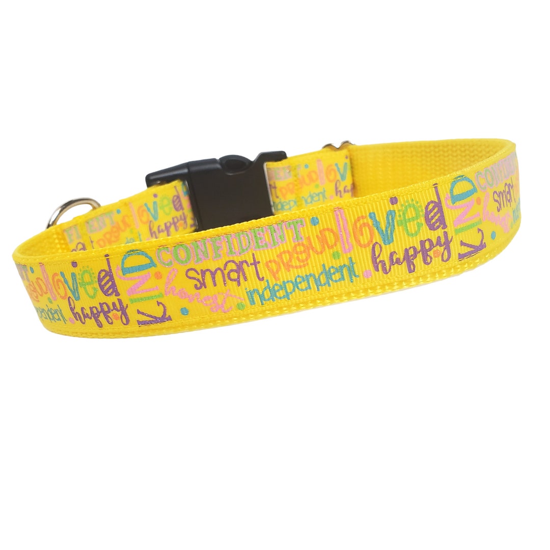 Inspirational Dog Collar – Be Kind – Motivational Pet Collar – Positive ...