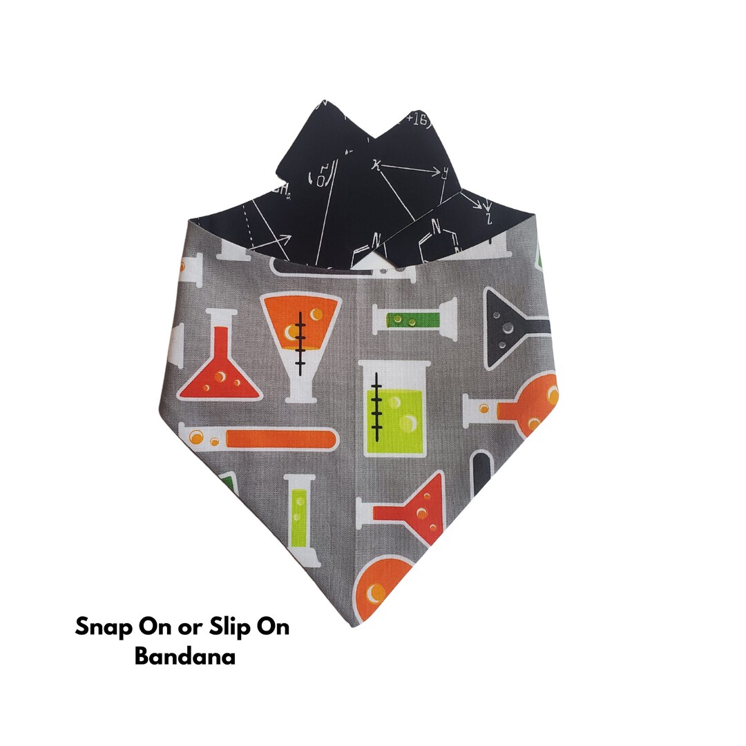 Science Themed Reversible Snap on or Slip on Cat or Dog Bandana in ...
