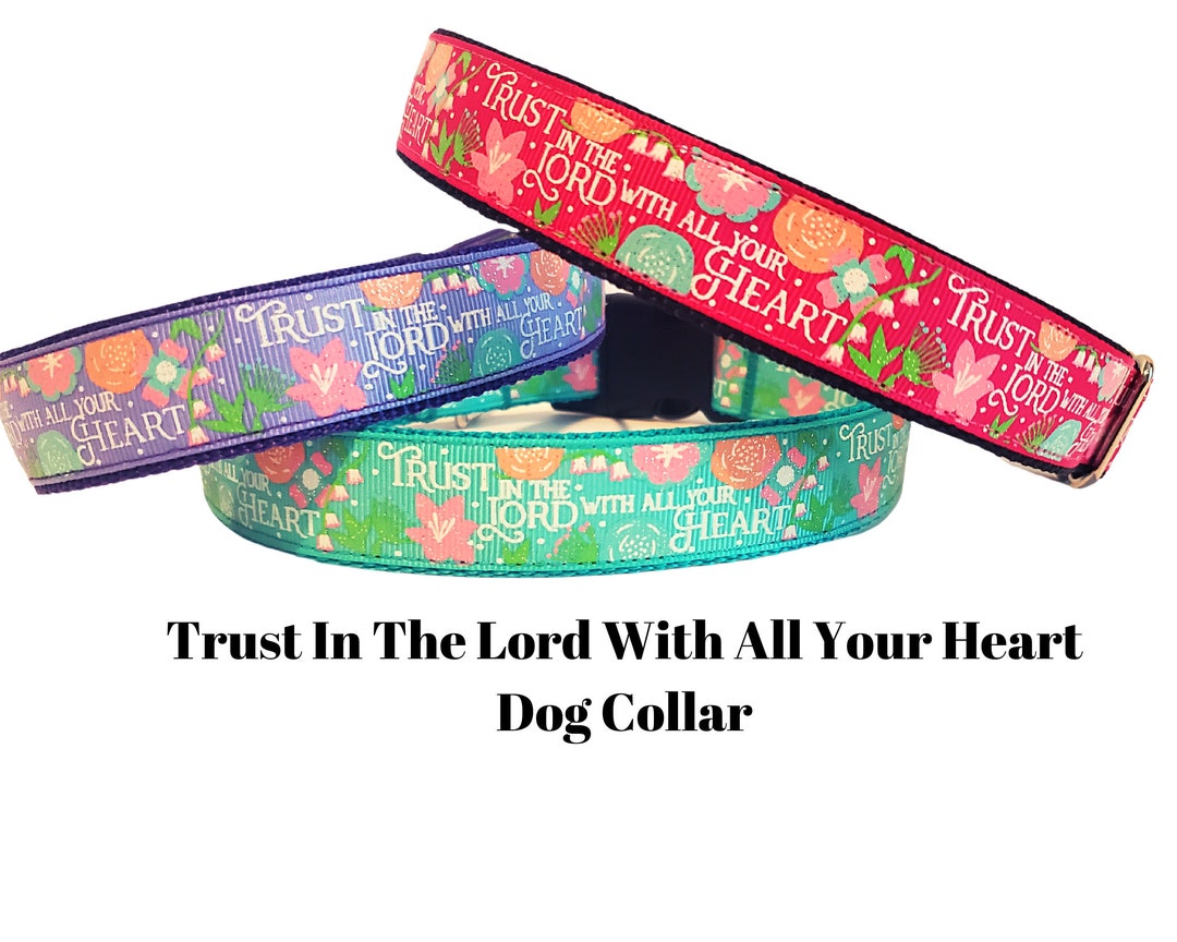 Christian Themed Dog Collar – “trust in the Lord With All Your Heart ...
