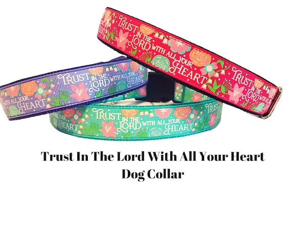 Christian Themed Dog Collar Trust in the Lord With All Your - Etsy