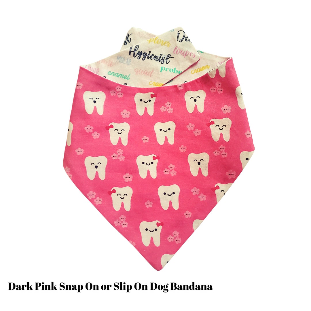 Dentist Themed Cat or Dog Bandana – Reversible Snap on or Slip on Pet ...