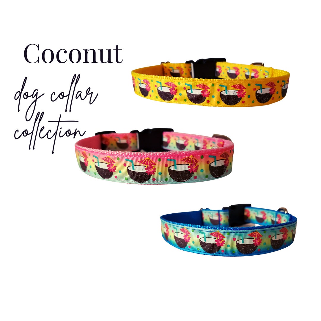 Tropical Coconut Dog Collar or Leash – Beachy Summer Pet Accessory ...