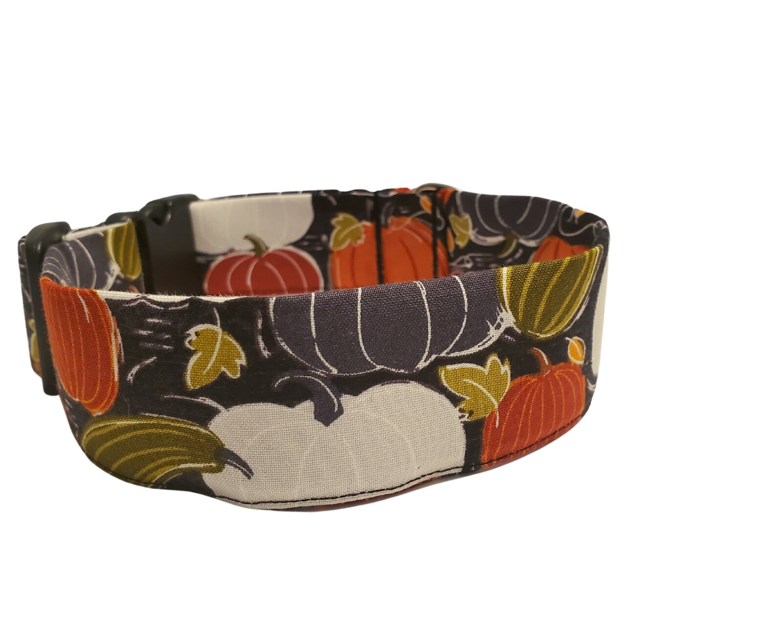 Modern Pumpkins and Gourds Dog Collar Set – Fall Dog Collar With Bow ...