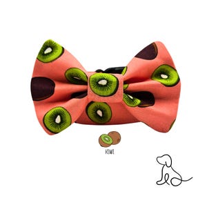 Kiwi Cutie: Fresh & Fun Dog Collar - Bow Tie - Snap on or Slip on ...