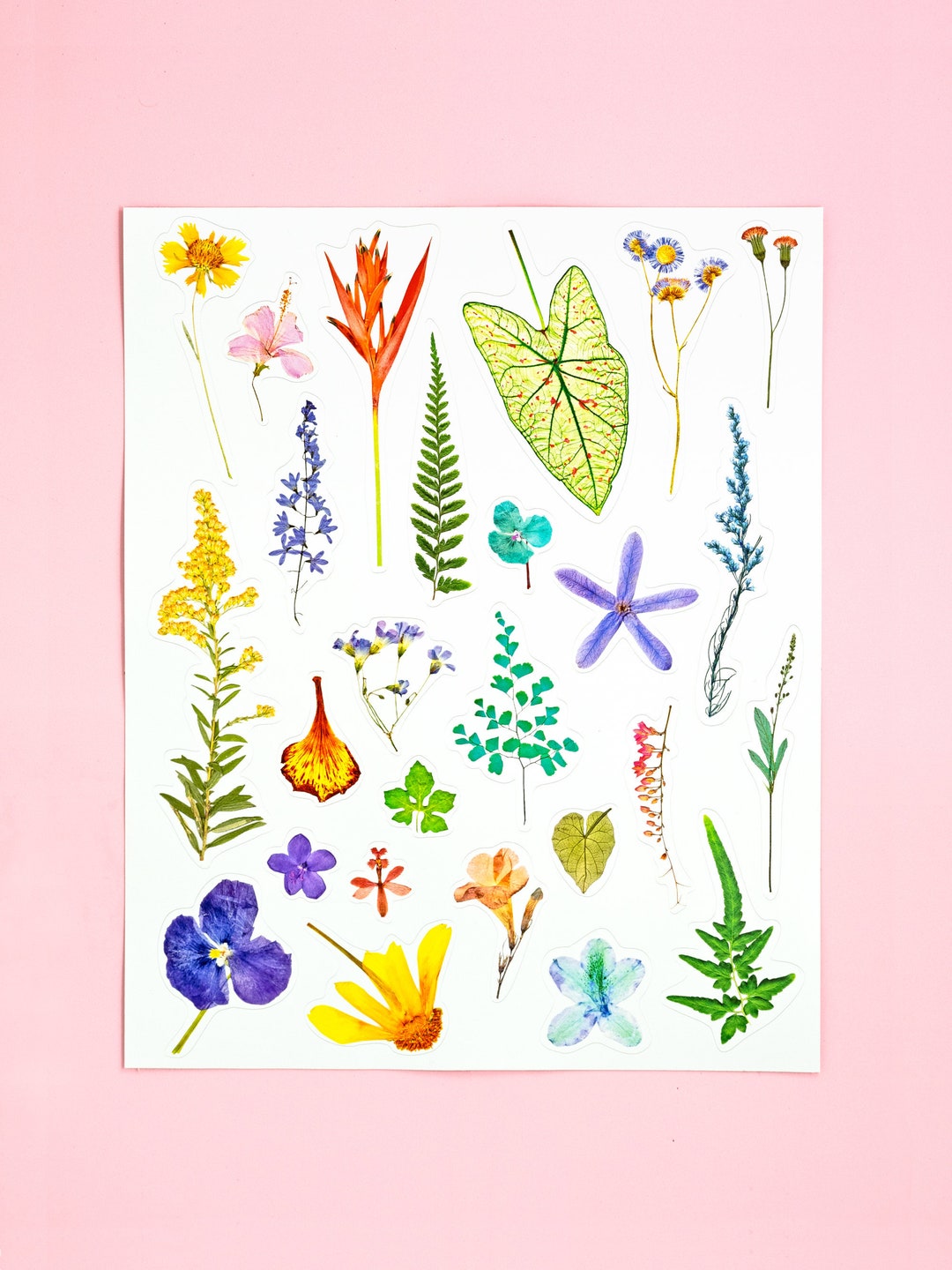 Floral Sticker Sheet - Etsy