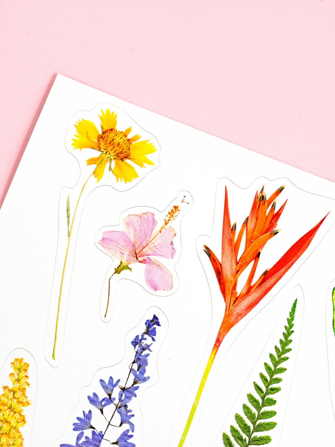 Floral Sticker Sheet - Etsy