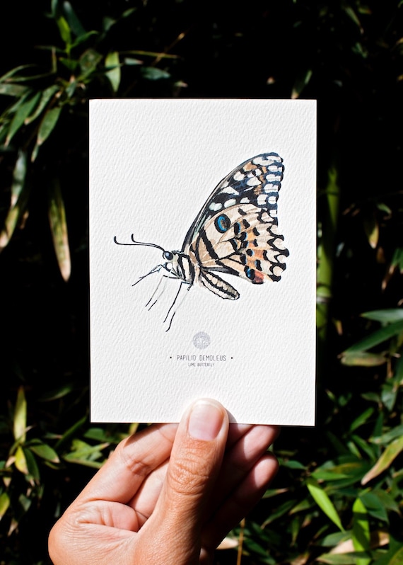 Butterfly Effect Quotes Tumblr