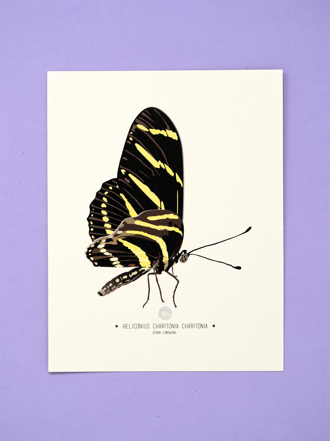Zebra Longwing Butterfly Art Print - Etsy