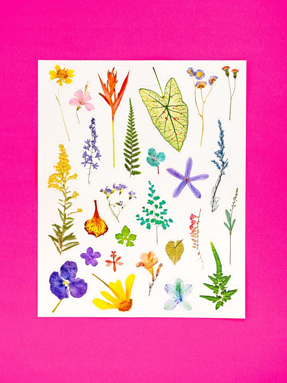 Floral Sticker Sheet - Etsy