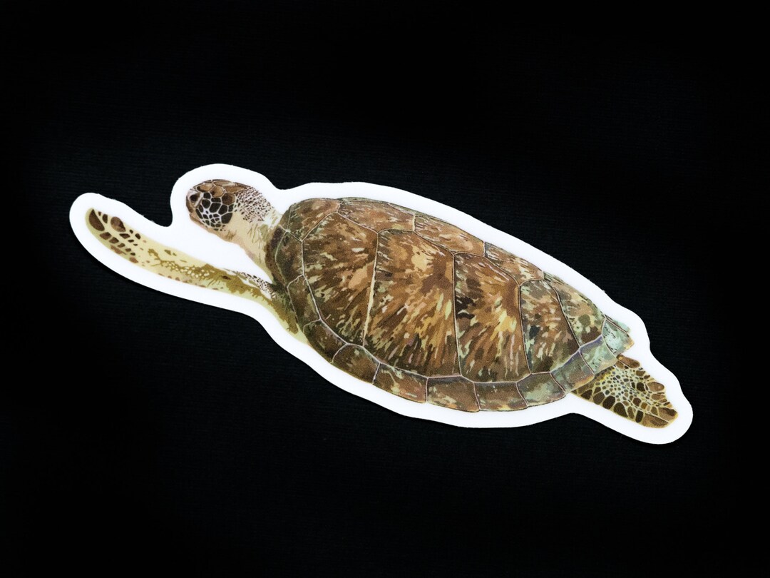 Green Sea Turtle Sticker - Etsy