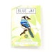 Blue Jay Hard Enamel Pin - Etsy