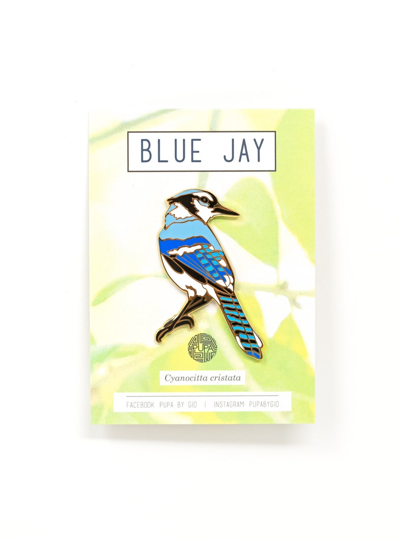 Blue Jay Hard Enamel Pin - Etsy