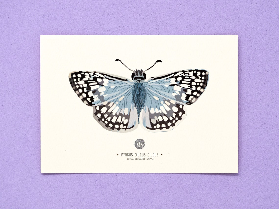 Tropical Checkered Skipper Art Print - Etsy