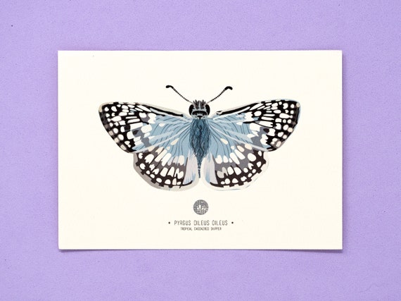 Tropical Checkered Skipper Art Print | Etsy
