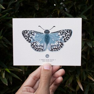 Tropical Checkered Skipper Art Print - Etsy