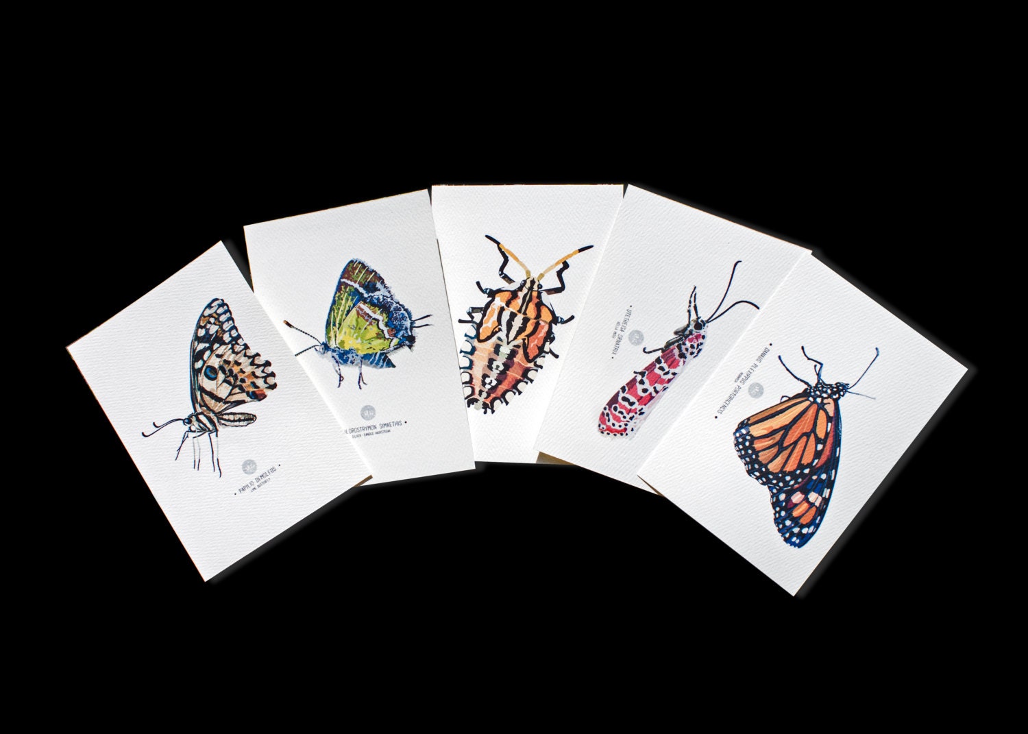 Insect Art Prints Set of Five - Etsy
