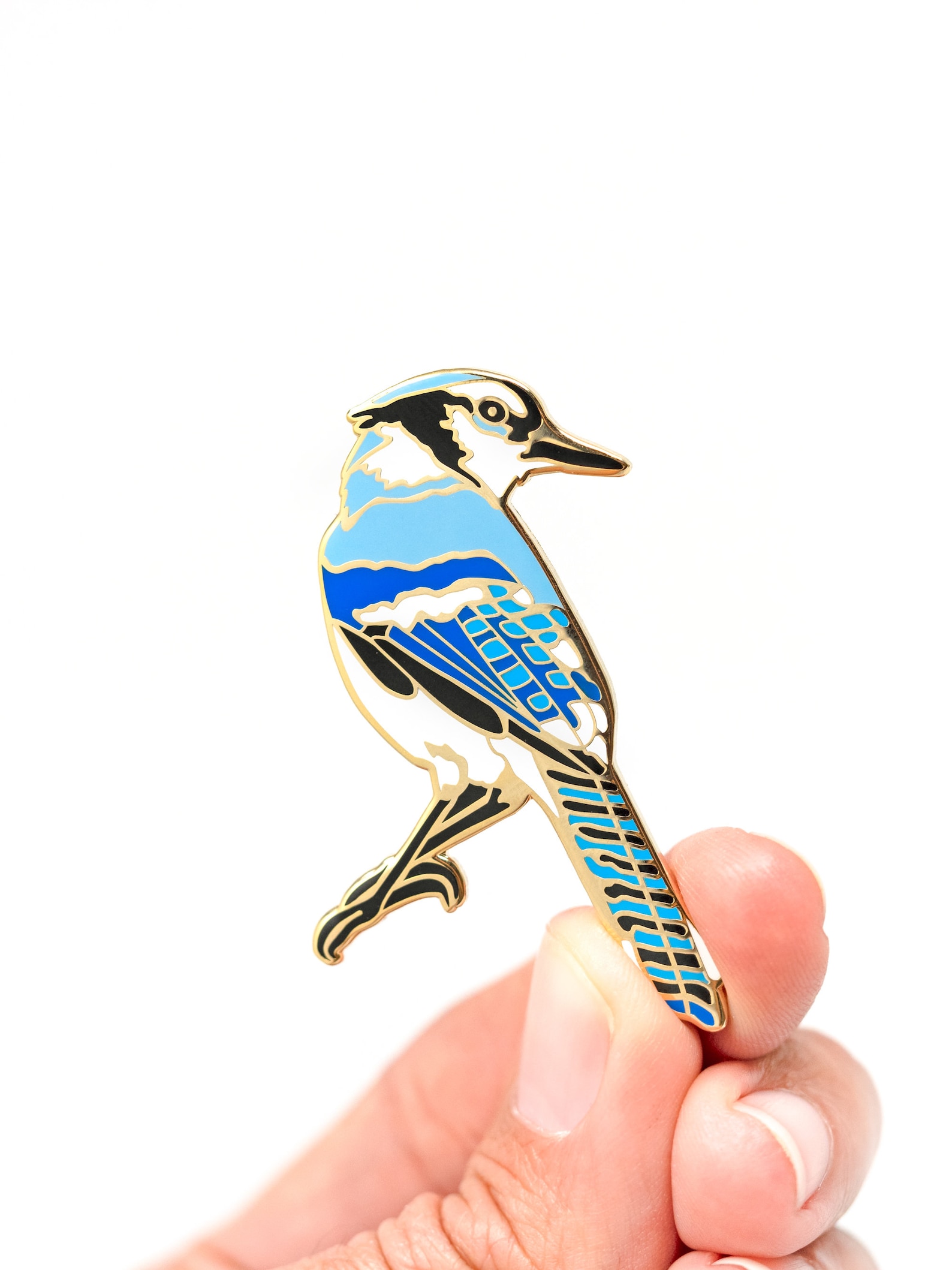 Blue Jay Hard Enamel Pin - Etsy