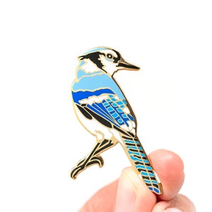 Blue Jay Hard Enamel Pin - Etsy