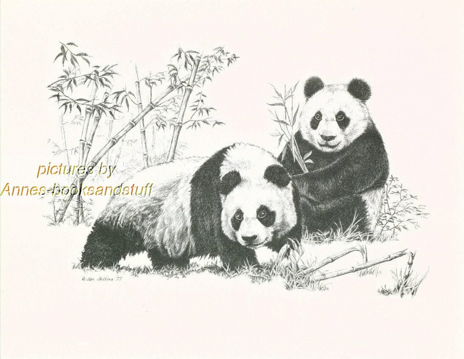 153 PANDA PANDA Wild Life Art Print Pen & Ink Done by Jan - Etsy UK