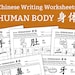 Chinese Writing Worksheets for Kids Human Body 16 Pages DIY Printable ...