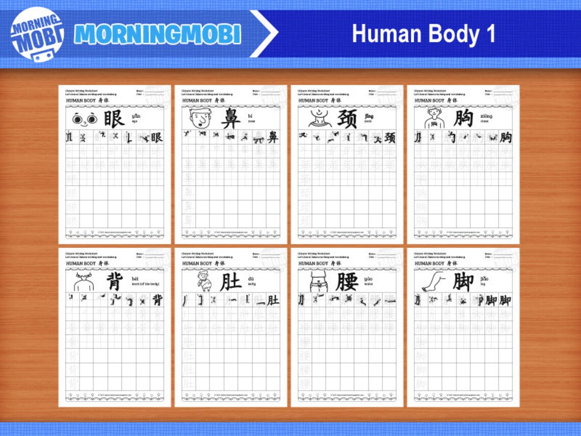 Chinese Writing Worksheets for Kids - Human Body - 16 Pages DIY ...
