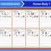 Chinese Writing Worksheets for Kids - Human Body - 16 Pages DIY ...