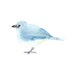 Light Blue Bird Fine Art Print - Etsy